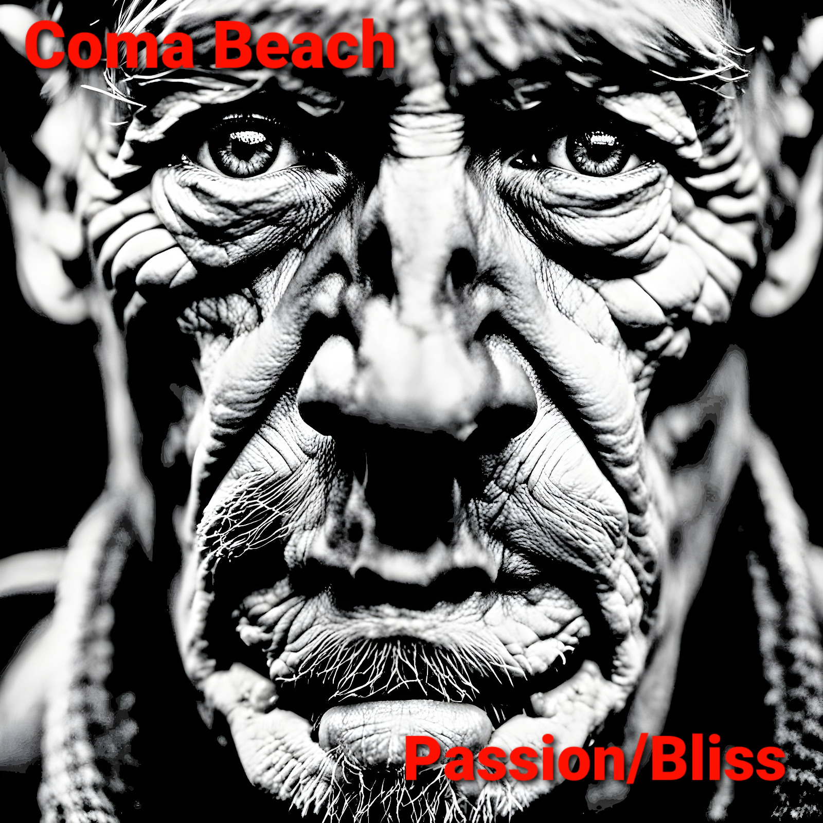 'Passion/Bliss': Coma Beach's Masterpiece of Raw Emotion - falcodice
